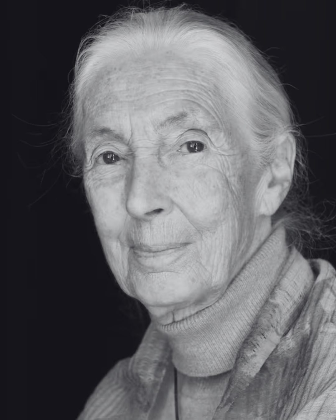 Falleció la Dra Jane Goodall pionera de la etología y defensora ...